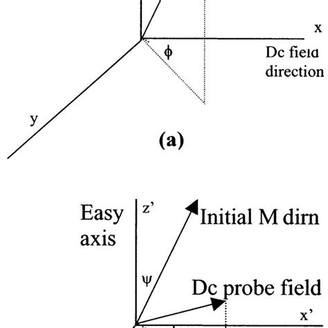 Coordinate System For The Calculation A Shows The Global Coordinate Download Scientific