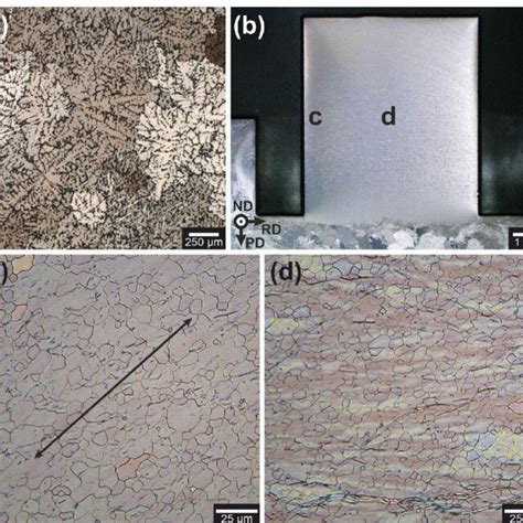 Micrographs Of A As Cast Am50 Base Material B Macrostructure Of A Download Scientific