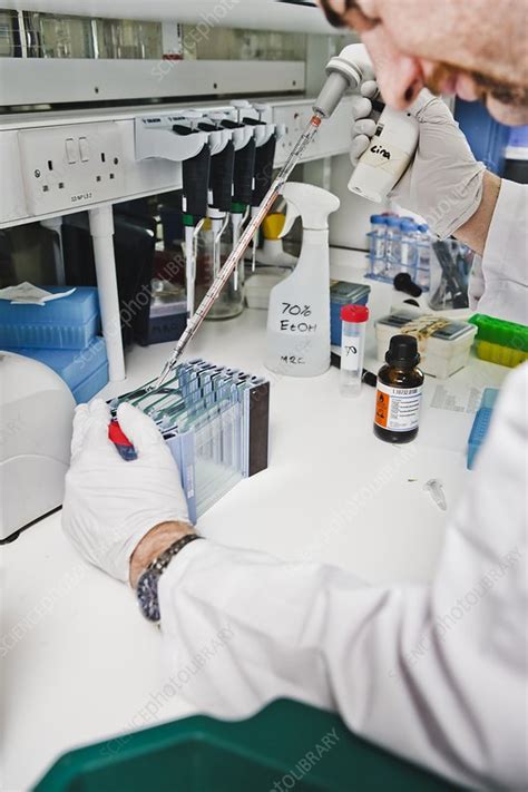 Kinase Profiling Stock Image C013 2934 Science Photo Library