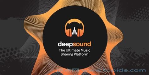 deepsound v1 3 4 php音乐分享社交平台【已汉化】 顶点网 php源码、wp主题、wp插件