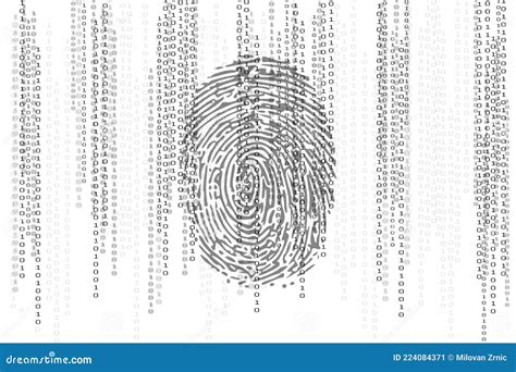 Binary Code White Background With Fingerprint Network Digital Data Security Concept Stock