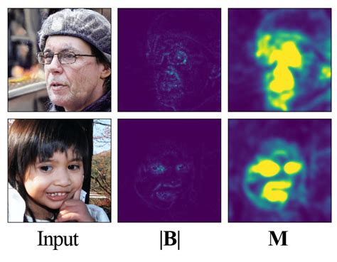 Example Outputs Of The Cusp Module From Left To Right 1 Input Image Download Scientific
