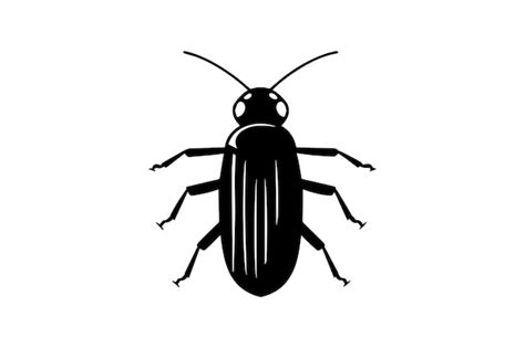 Premium Vector American Cockroach Icon