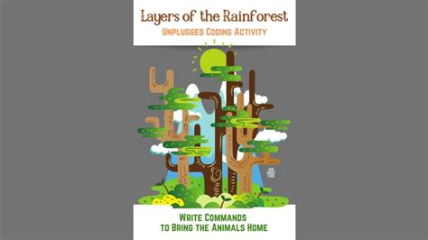 Layers Of The Rainforest Unplugged Coding Activity Our Family Code