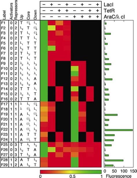 promoter architectures and transcriptional logic phenotypes of the