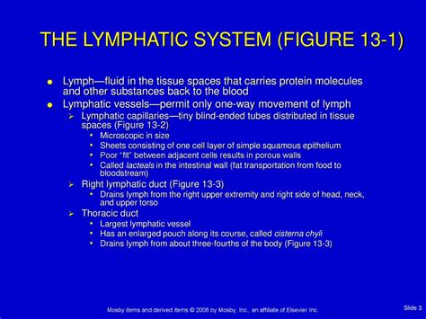 Slide 1 9 Of Ppt Download