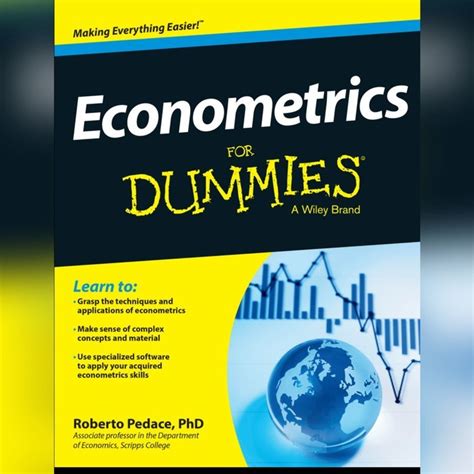 Jual Buku Econometrics For Dummies Shopee Indonesia