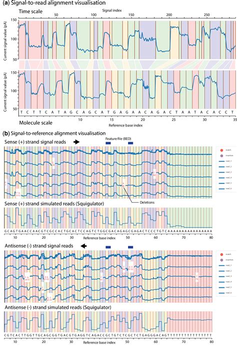 Figure From Interactive Visualization Of Nanopore Sequencing Signal Data With Squigualiser