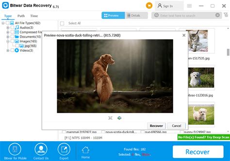 FIXED SD Card Not Showing Up Bitwarsoft