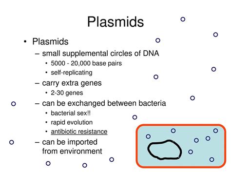 Ecor1 Animation Leave Sticky Ends” That Can Be Used To Join Dna Ppt