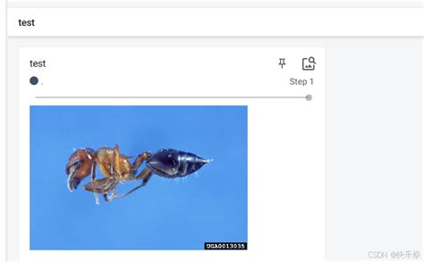 Tensorboard的使用 （小土堆学习笔记）from Torchutilstensorboard Import Summarywriter Csdn博客