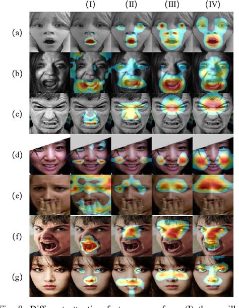 Figure 1 From Au Aware Vision Transformers For Biased Facial Expression