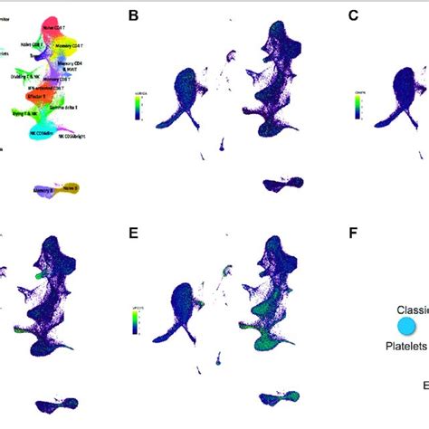 Single Cell RNA Seq Analysis Of PBMCs From COVID Patients On An Download Scientific