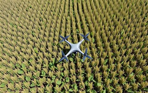 Drone Technology In Agriculture Top View Drone In Soybean Crop Premium Ai Generated Image