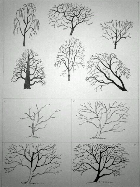 Tree Drawing Drawings Realistic Drawings