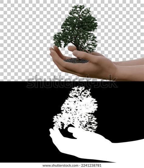 Tree Growth On Human Hand Realistiic Stock Illustration Shutterstock