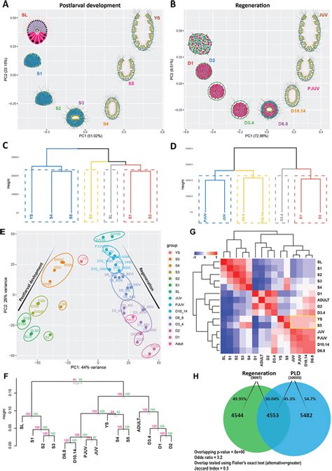 Overview Of Postlarval And Regeneration Transcriptomes A Principal