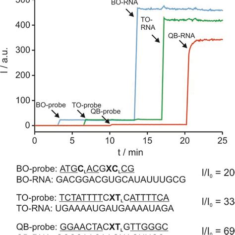 simultaneous detection of three rna targets the arrows indicate time