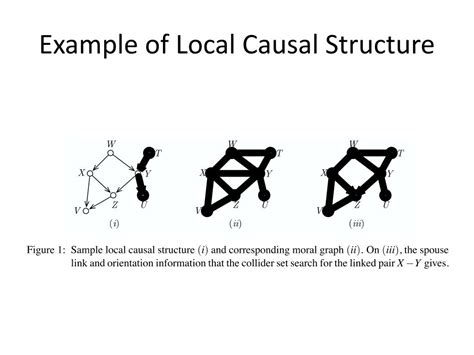 Ppt Using Markov Blankets For Causal Structure Learning Powerpoint