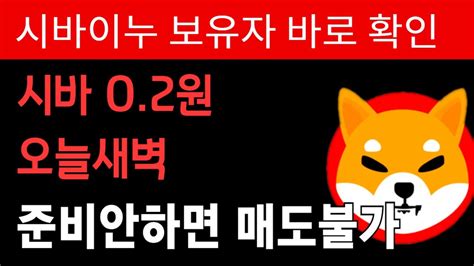 시바이누 』 준비안하면 매도 불가입니다 지정가 체결안되고 시장가는 폭망가 보유자 바로확인 시바 시바이누 시바전망