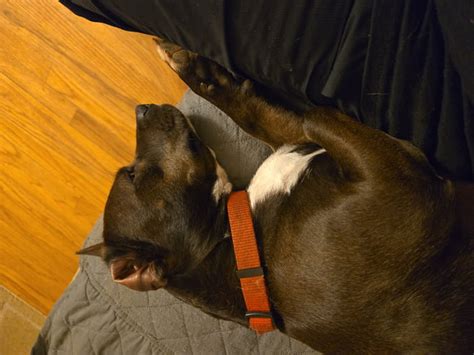 Touch The Leg 9gag