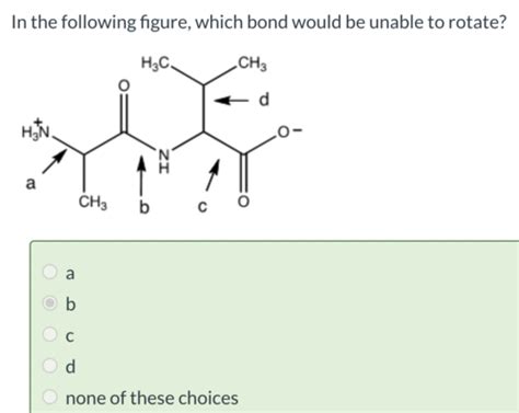 Chapter HW Flashcards Quizlet