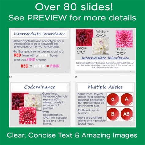 Inheritance PowerPoint Notes And Videos Genetics Science Island