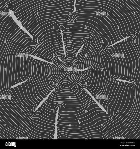 Annual Tree Growth Rings Trunk Cross Section Vector Background Trunk Annual Tree Growth Rings Trunk Cross Section Vector Background Trunk