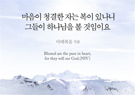 샬롬조이 2020 8 18 Joy와 함께하는 생명의 말씀🌷 마음이 청결한 자는 복이 있나니 그들이