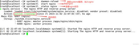 【范例】nginx编译安装及加入systemd服务nxlog 加入systemd Csdn博客 【范例】nginx编译安装及加入systemd服务nxlog 加入systemd Csdn博客