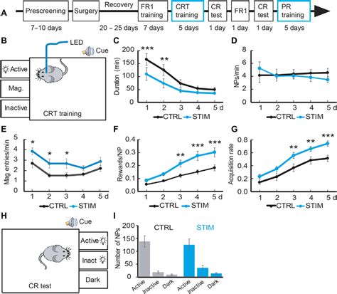 Stimulation Of Vta To Vp Gaba Pathway Improves Performance In Crt A Download Scientific