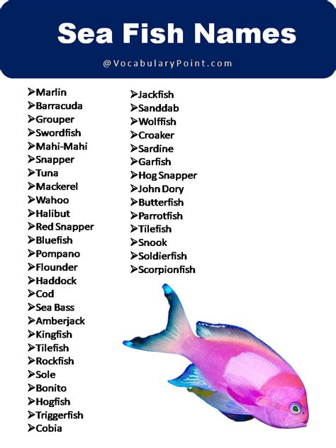 Best Fish Name Ideas Sea And American Fish Names Vocabulary Point