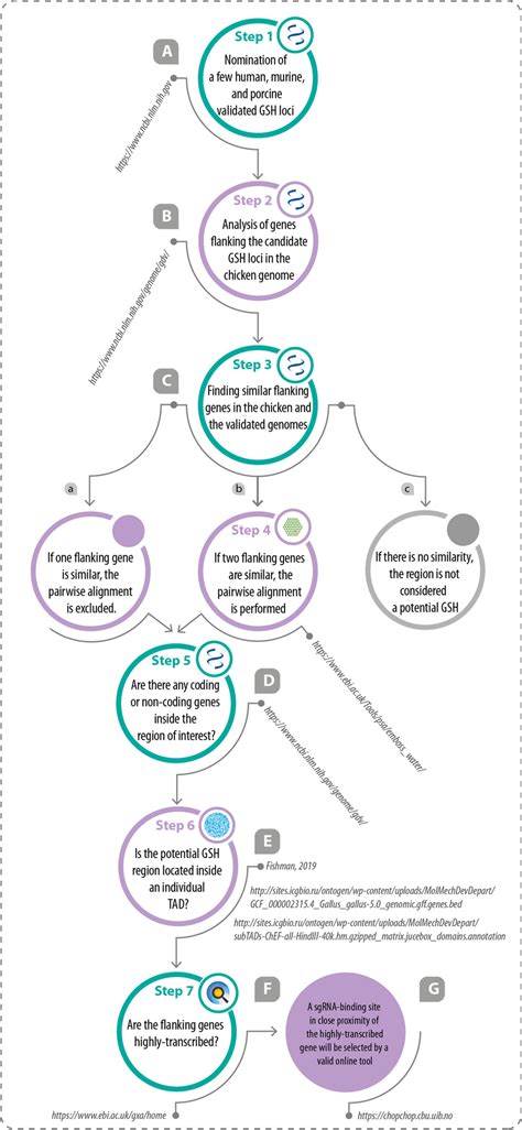 a schematic pipeline for the prediction of genomic safe harbor loci in