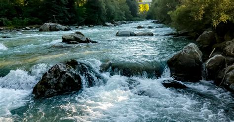 Aws Announces Amazon Opensearch Ingestion For Streamlined Data Ingestion Infoq