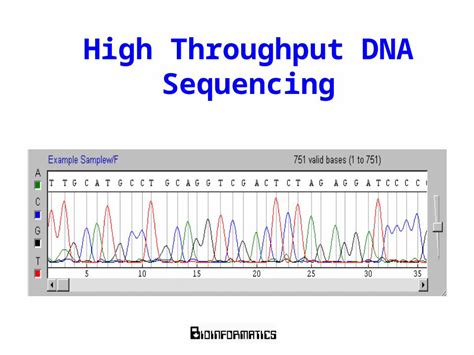 Ppt High Throughput Dna Sequencing 30 000 Shotgun Sequencing Isolate