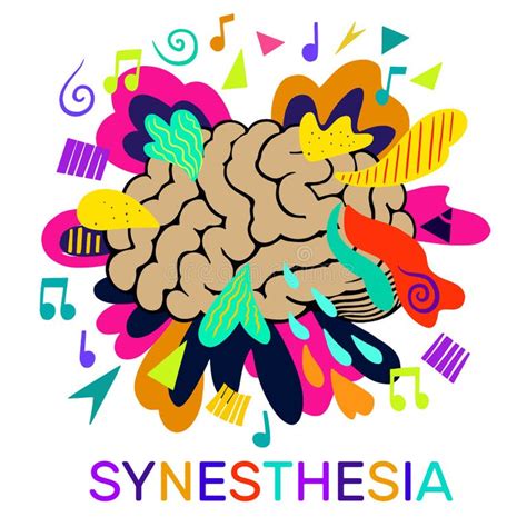 Synesthesia Brain Stock Illustrations 23 Synesthesia Brain Stock