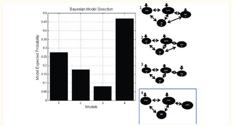 dynamic causal models bayesian model selection favouring an effective