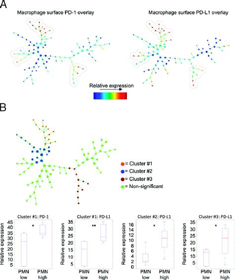 Spade Clustering Identifies An Association Between Synovial
