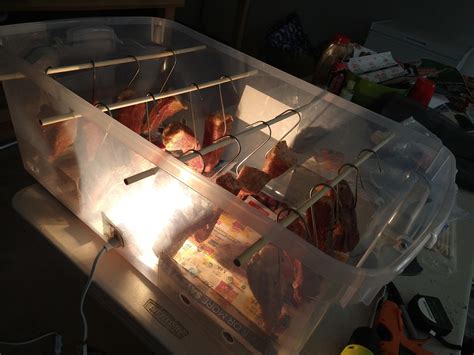 First Biltong Attempt Using My Own Homemade Biltong Box Rbiltong
