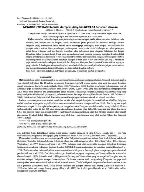 Int 1 Pdf