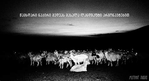 რადიო პიესა „წამხდარი ნაპირი მედეას მასალა ლანდშაფტი არგონავტებით