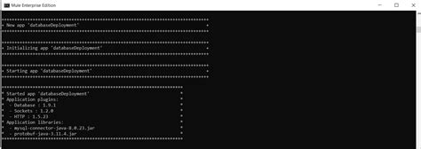 Standalone Runtime Server In Mule 4
