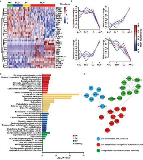 Differentially Abundant Proteins And Functional Alterations Related To