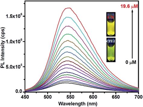 Pl Intensity Vs Wavelength Plot Of Cpt I With Increasing Cn À Ion Download Scientific Diagram