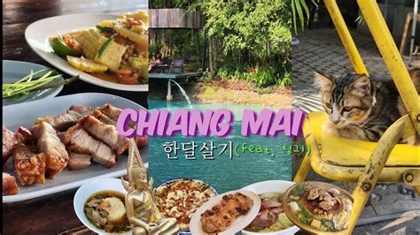 치앙마이 혼자한달살기 5 🌺 외로움 장아찌의 친구들과 4박5일 반캉왓 도이수텝 재즈바노스게이트 마호리 넹무옵옹 까이양청더이 아디락피자 쿤무무카타