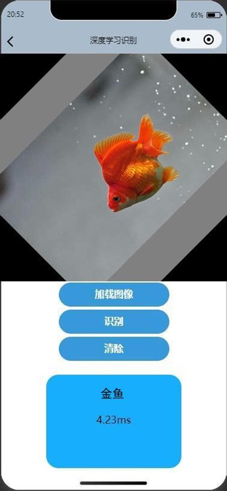 小程序版基于卷积神经网络cnn的鱼类识别 含数据集微信小程序cnn运算 Csdn博客