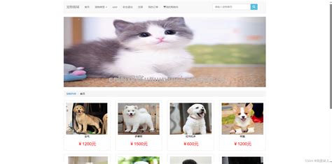 基于springboot的宠物商城系统java网上商城jsp源代码mysql Csdn博客