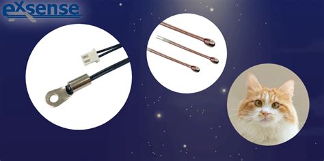 Improved Ntc Temperature Sensor For Pet Appliance Exsense