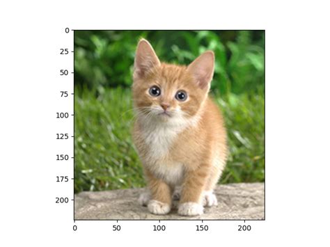 compile tflite models — tvm 0 9 0 documentation