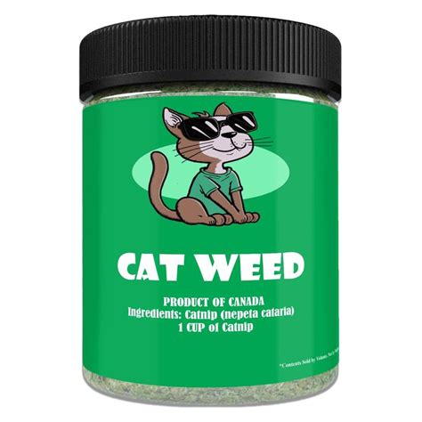 Pin On Catnip